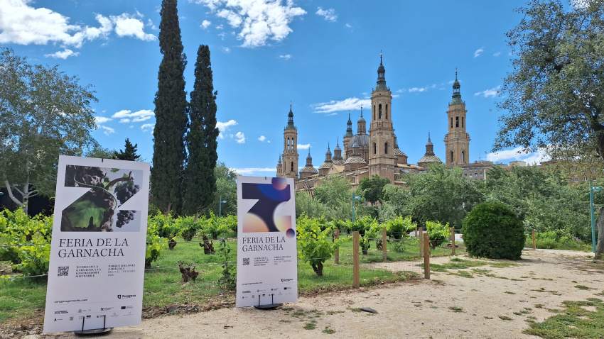 Zaragoza se consolida como capital de la garnacha con una feria que ...