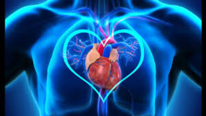 Un cardiólogo de Málaga revela las señales que envía el corazón y que ...