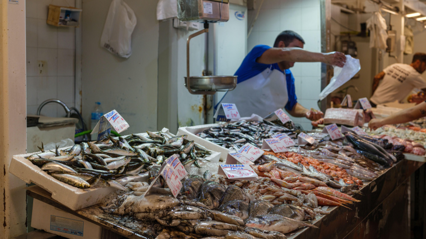 La OCU advierte: el pescado en bandejas va a sustituir al de los ...