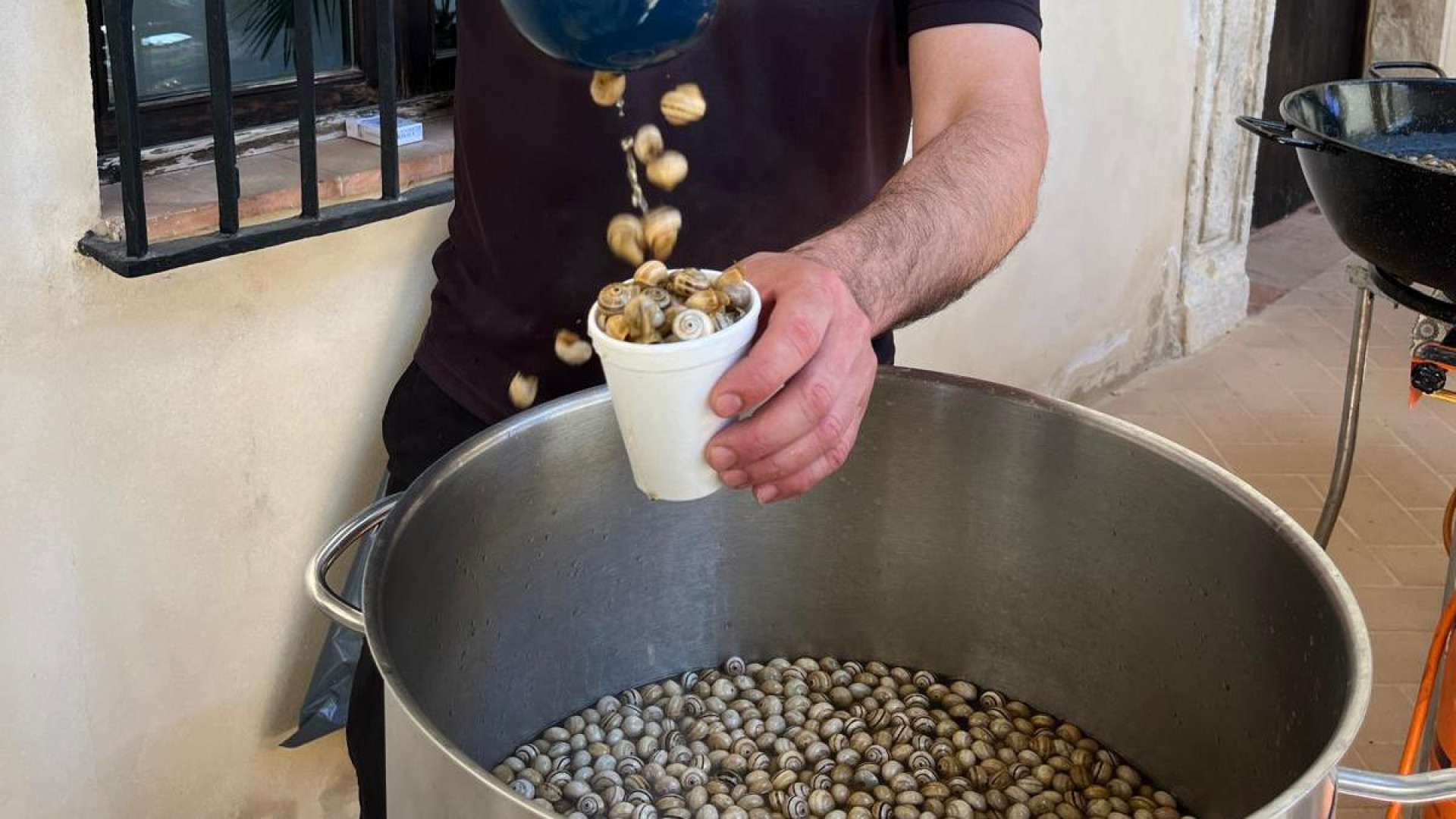 Bornos celebra del 9 al 11 la Feria del Caracol