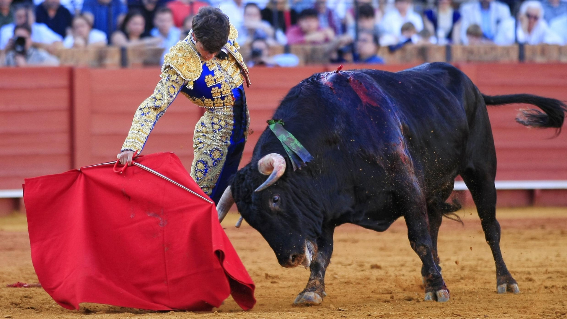 Brillante toreo de Aarón Palacio