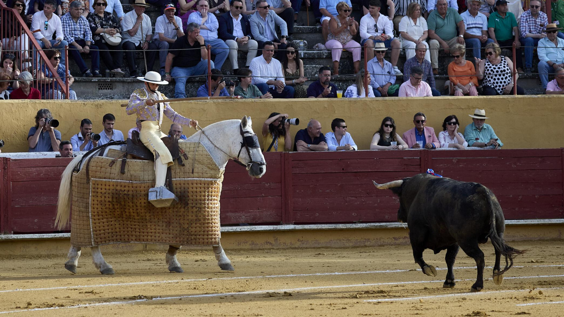 El Torero y la cuadrilla de Sergio Rodríguez, galardonados en la ...