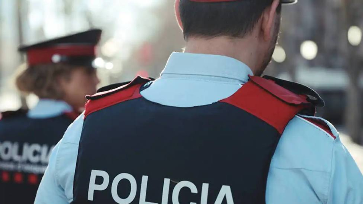 Detenido un multirreincidente de 38 años por vapulear y dejar herida a ...