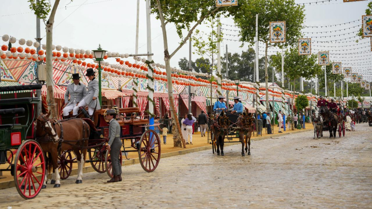 Un investigador explica el sorprendente origen del albero de Sevilla ...