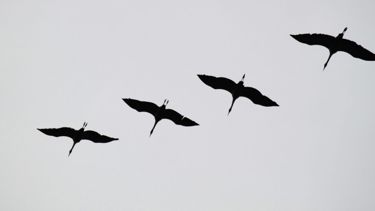 La importancia de respetar y disfrutar de la naturaleza
