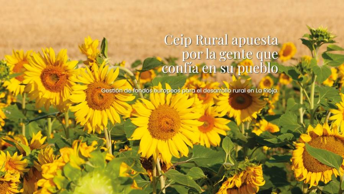 'CEIP Rural' y 'CaixaBank' lanzan una convocatoria de ayudas y ...