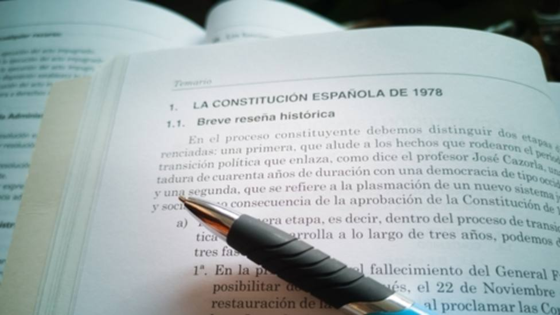 Artículo 49 de la Constitución: ¿Qué dice y por qué se quiere modificar?