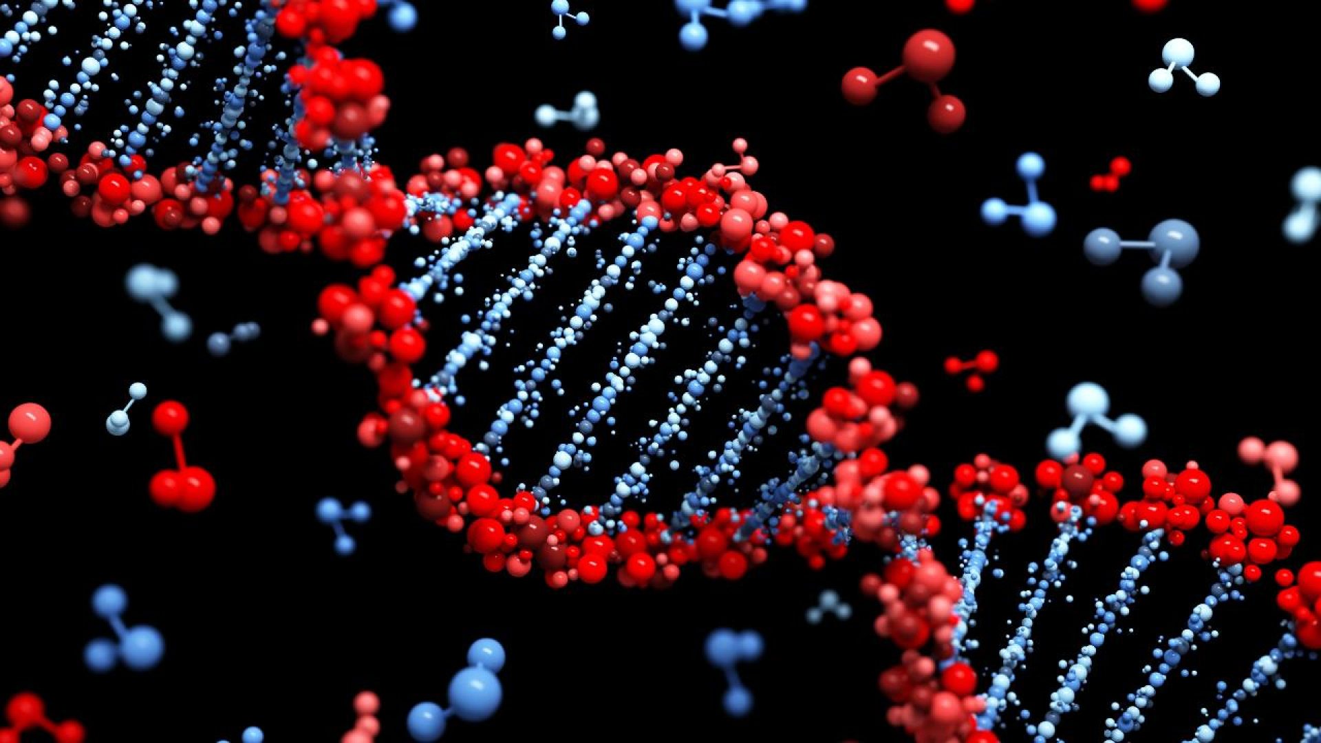 Publican el borrador del primer pangenoma humano: el mapa genético más ...