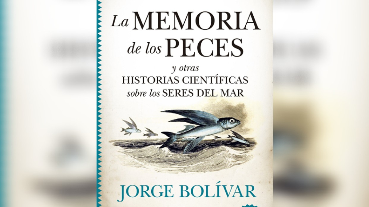 ¿Delfines y seres humanos conviviendo fuera del agua? La característica ...