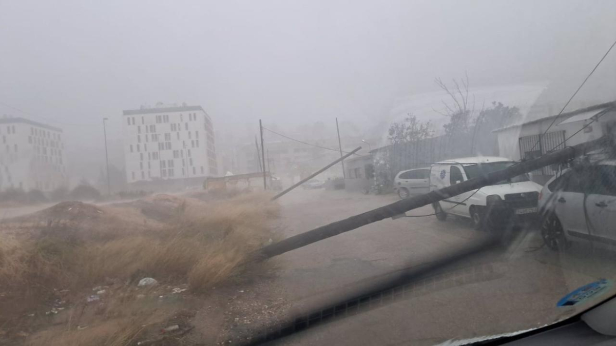 El rastro de destrozos que deja Bernard en Sevilla