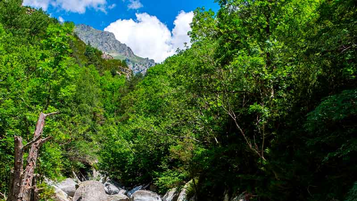L'Agència Pura Vall ens proposa descobrir la Vall de Ribes
