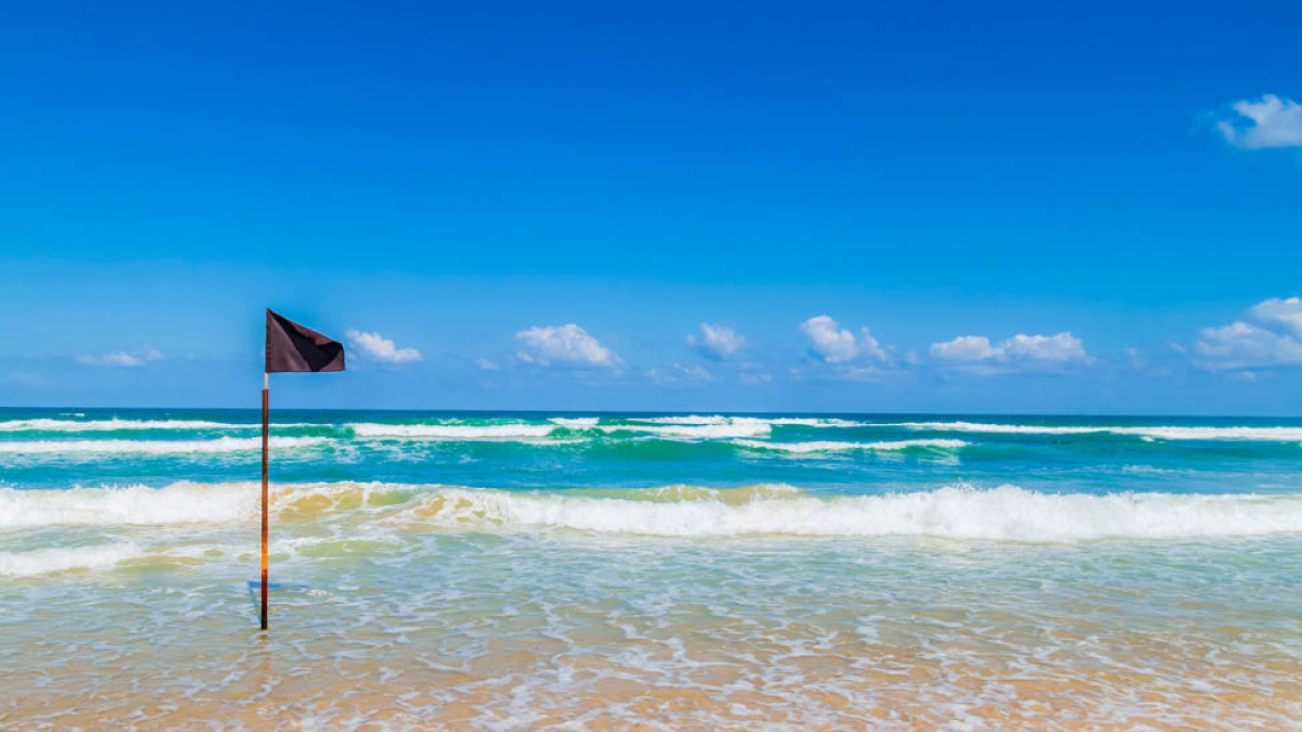 Qué debes hacer si ves una bandera negra en la playa: Este es su ...