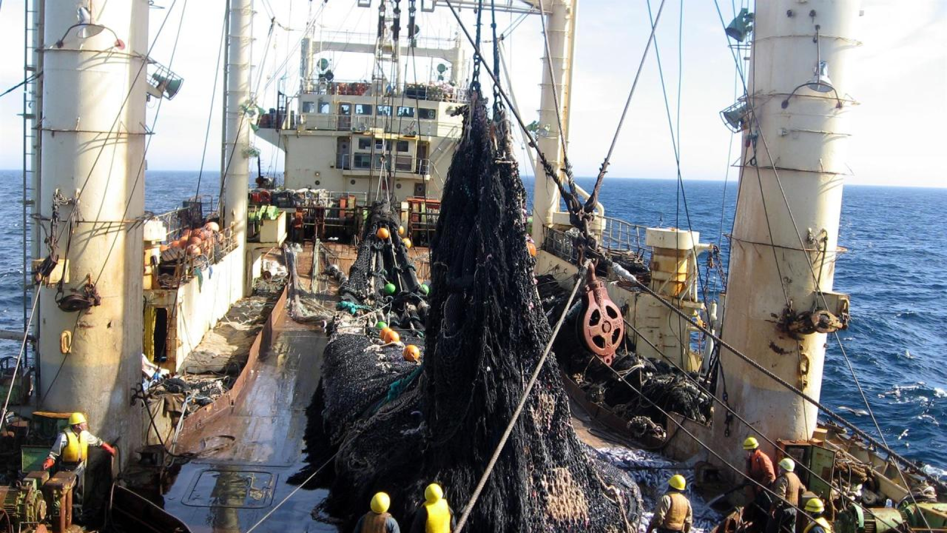 Entra en vigor el veto europeo a la pesca de arrastre que prohíbe ...