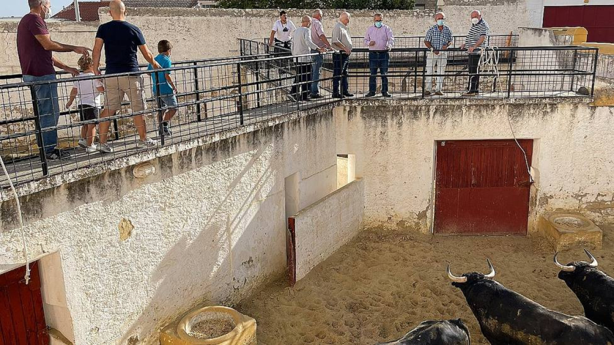 Tauroemoción se aviene a sortear los toros de la corrida del sábado en Jaén