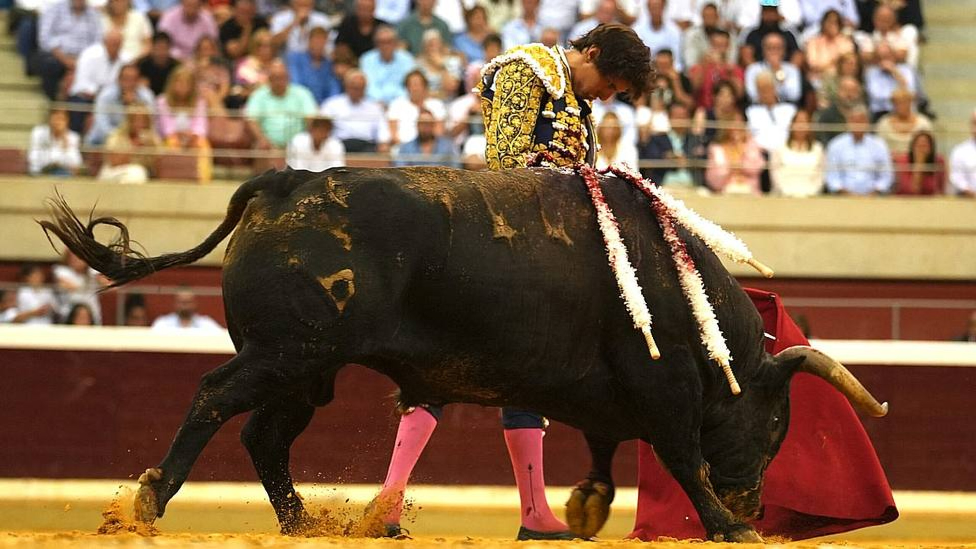 Roca Rey, 'Capote de Paseo' de La Rioja a la mejor faena de San Mateo