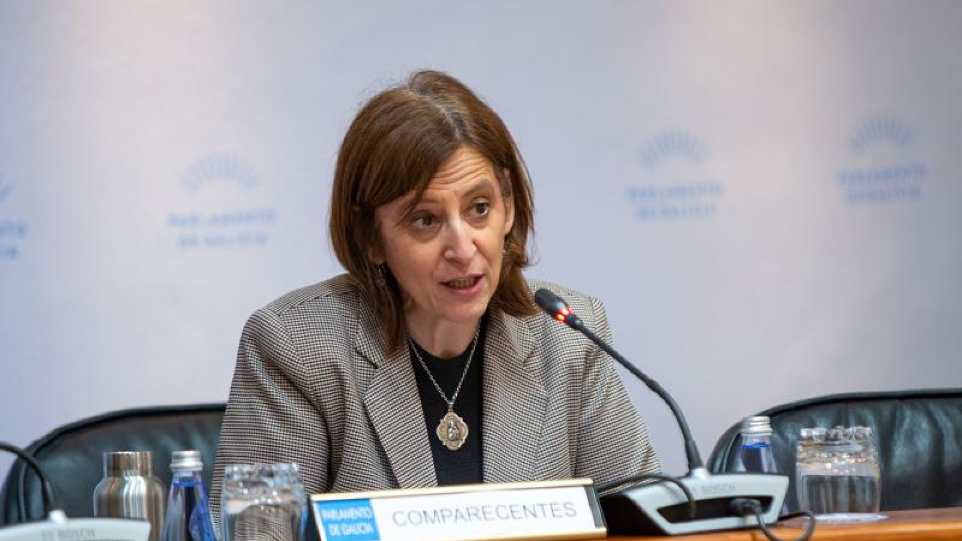 Teresa Gutiérrez: "El vaciado de la mina de San Finx no podrá alterar ...