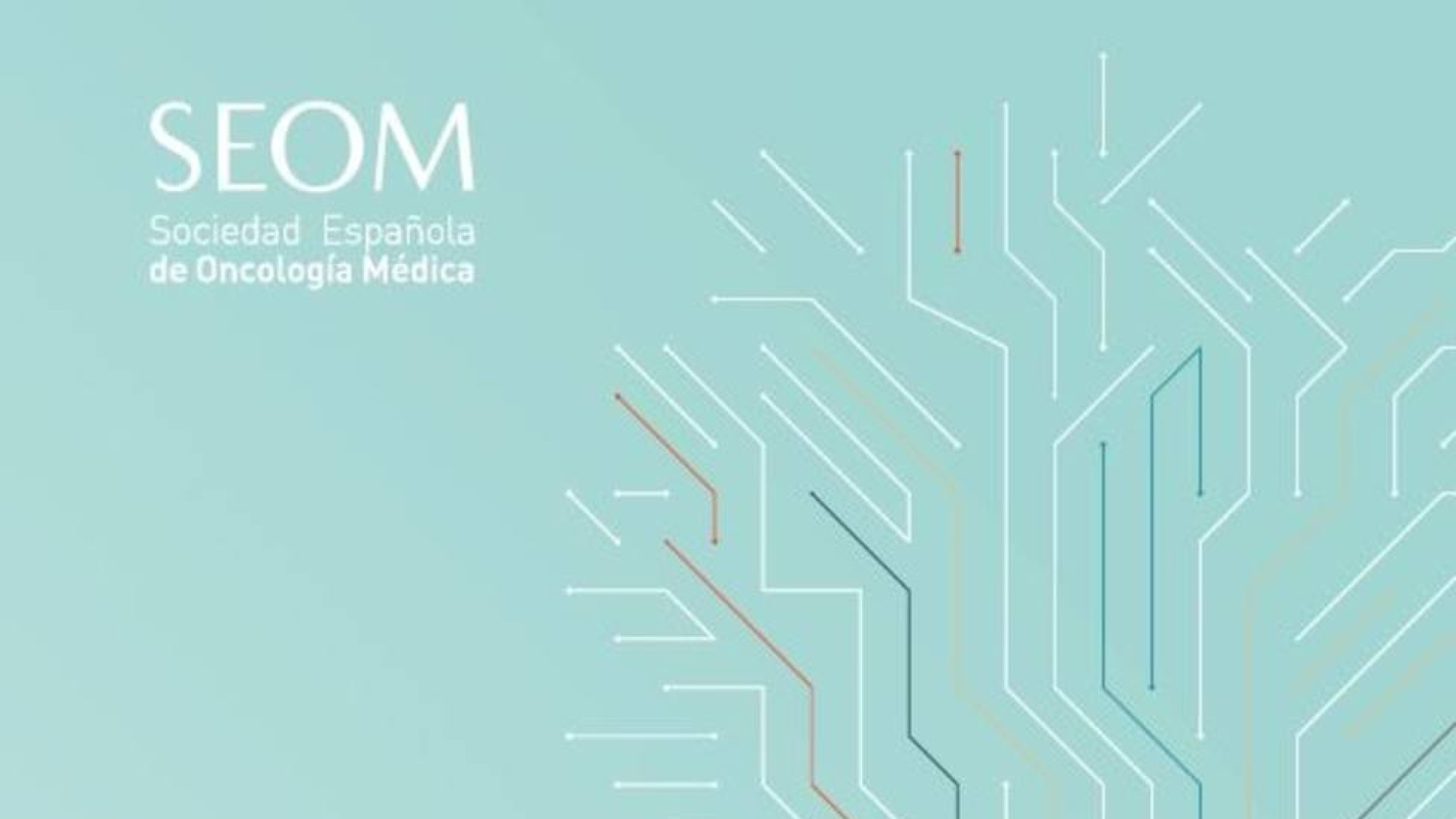 SEOM y la Fundación Instituto Roche publican la III edición el Libro ...