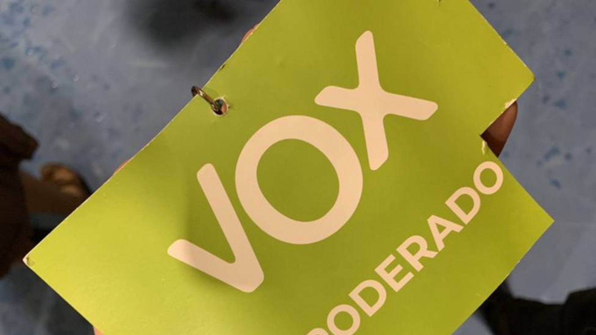 Vox y Podemos se enfrentan en Logroño por la imagen de la bandera de ...