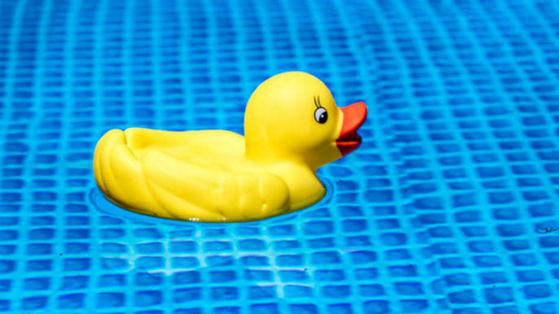 Como peces en el agua