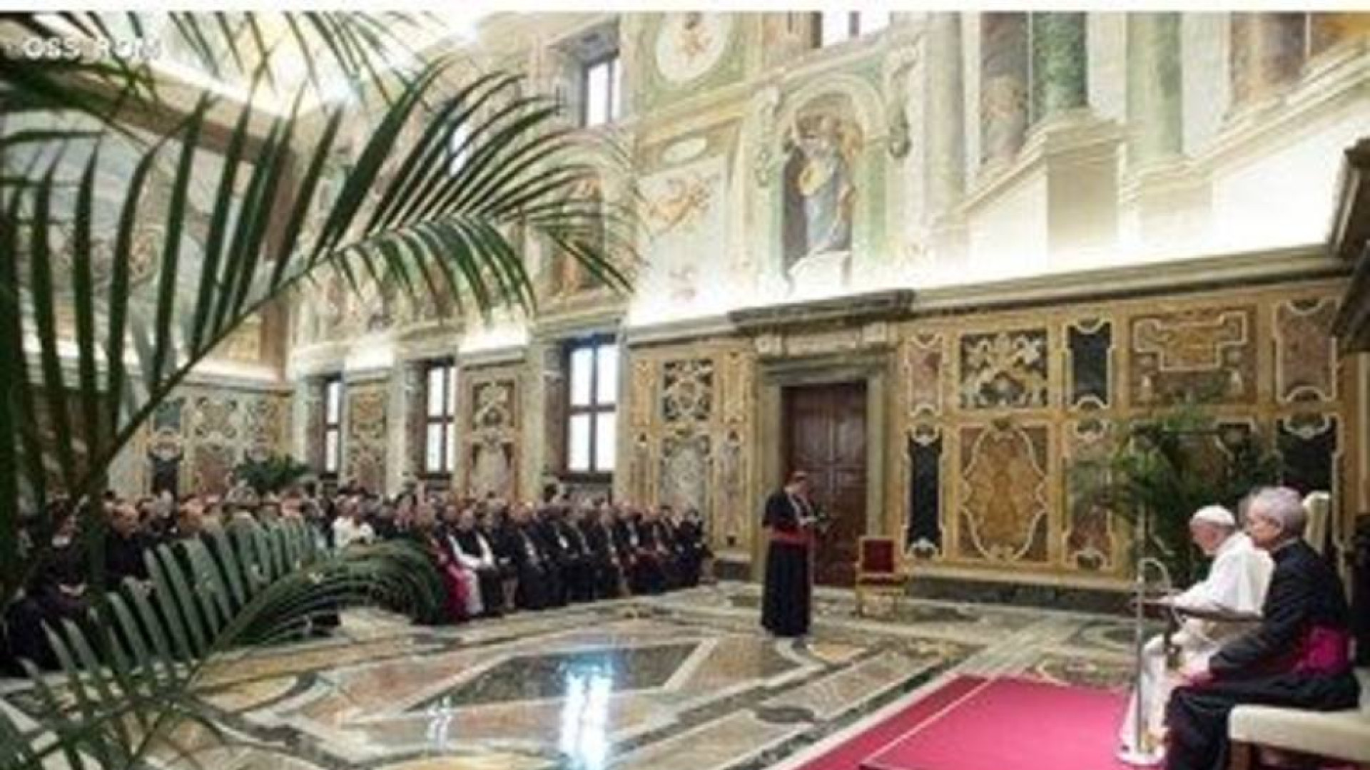 "Este es el tiempo de la fraternidad", señala el Papa Francisco