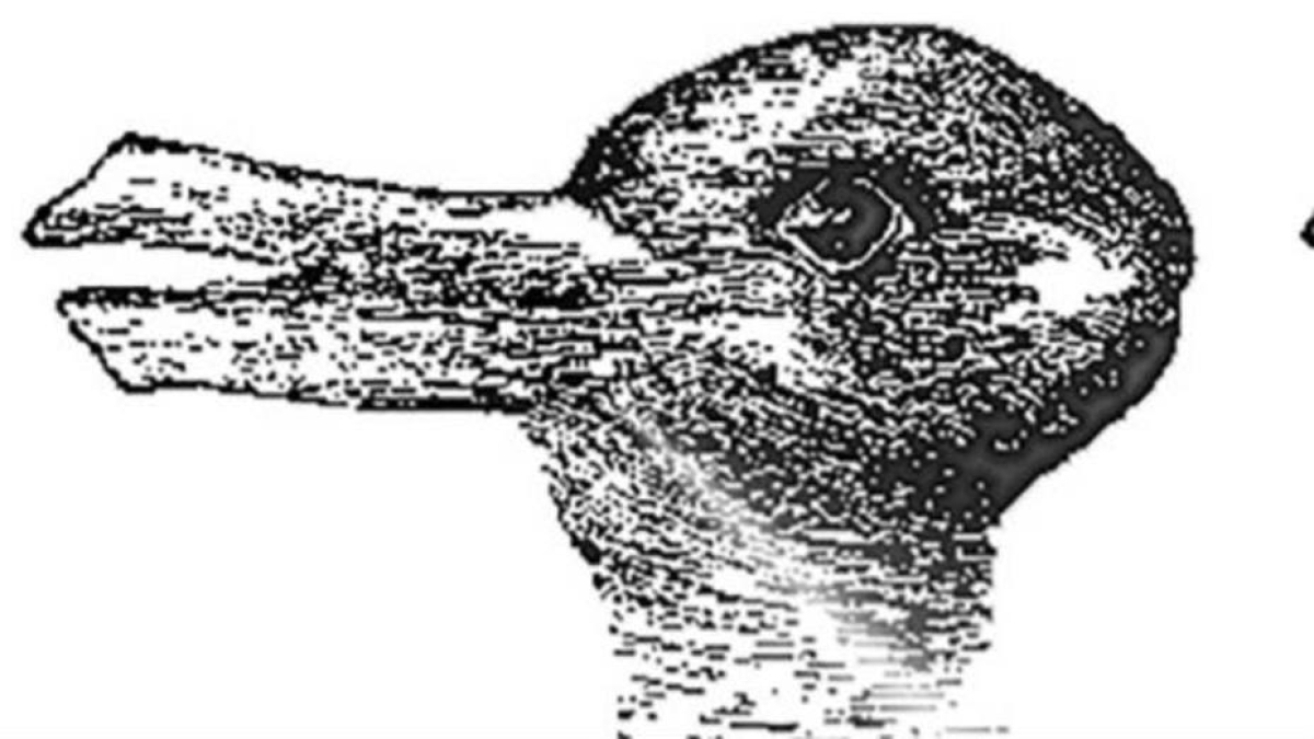 Pato o conejo: ¿qué es lo que ves?