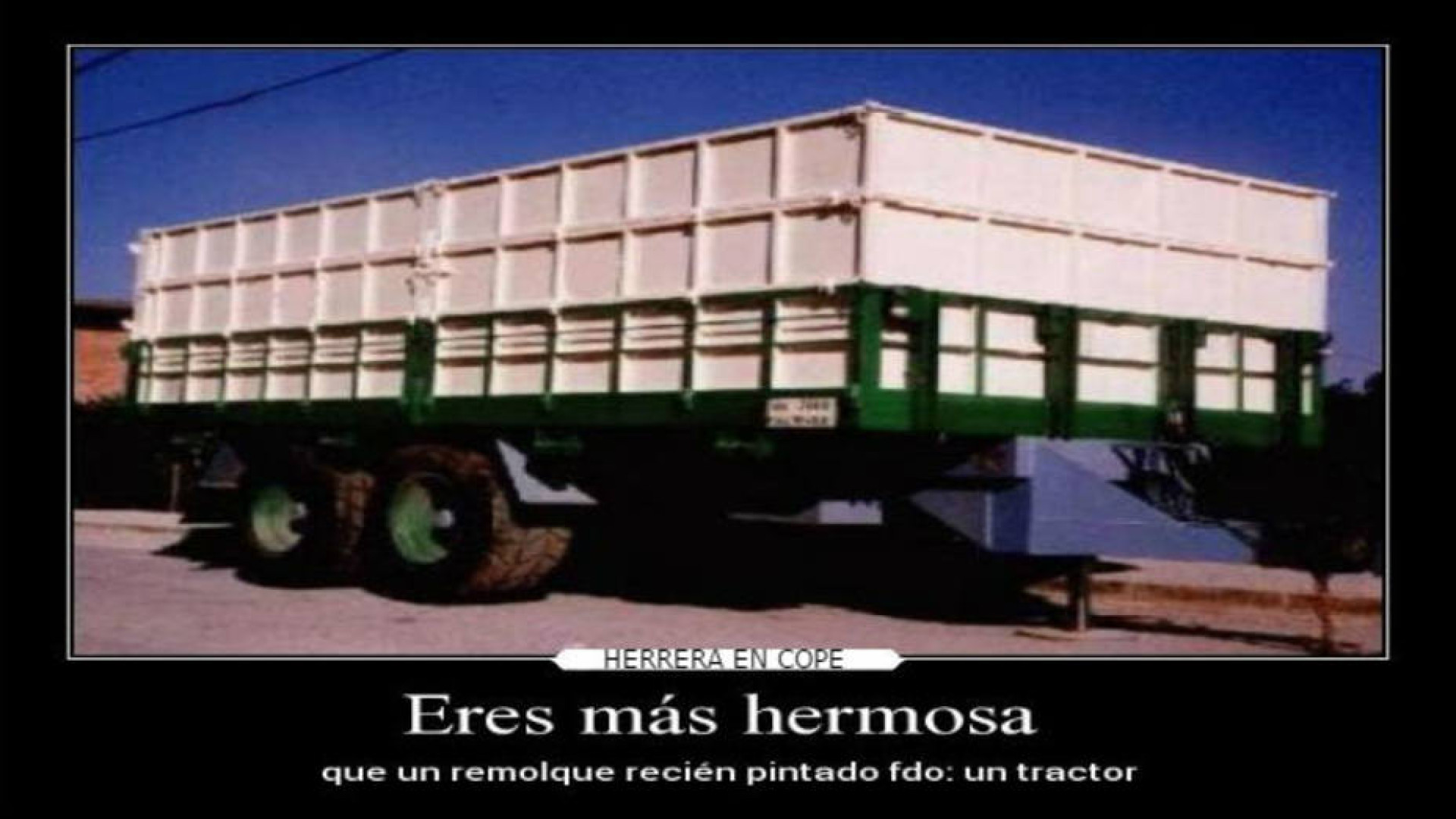 Los mejores dichos populares