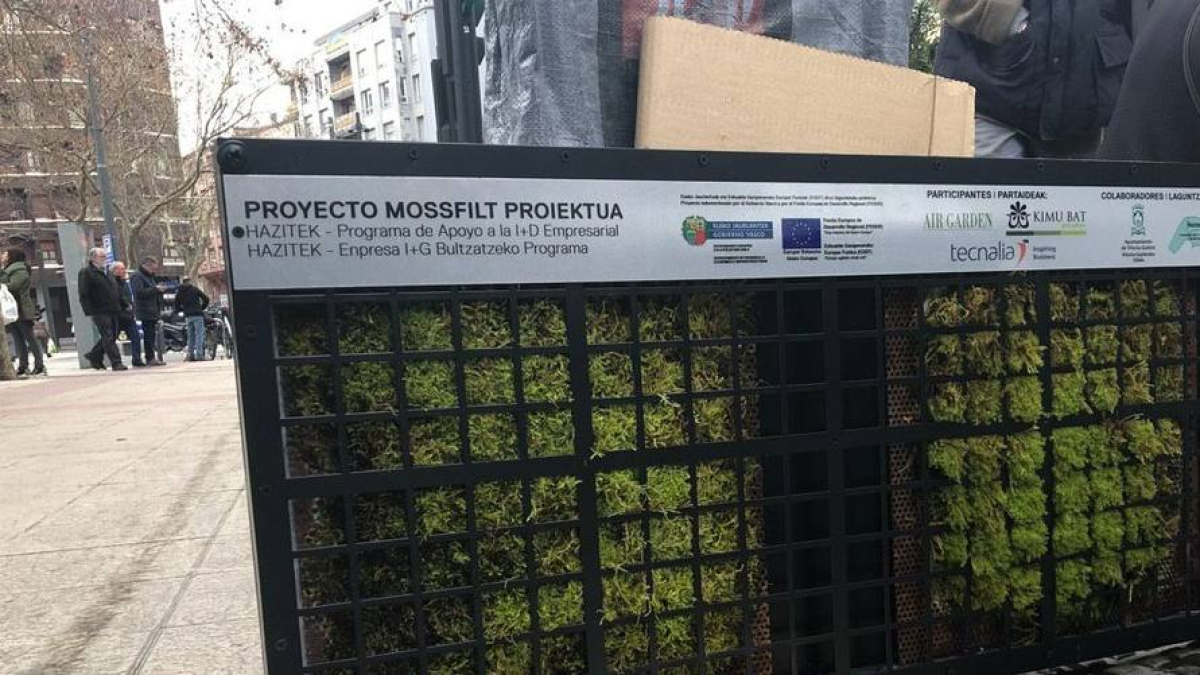 Vitoria estrena en Euskadi un musgo contra la contaminación del tráfico