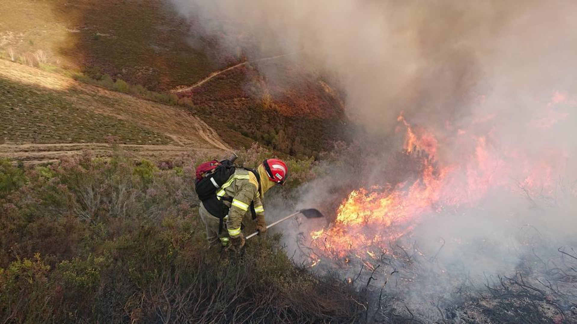 Los incendios forestales registrados en Galicia afectan a unas 500 ...