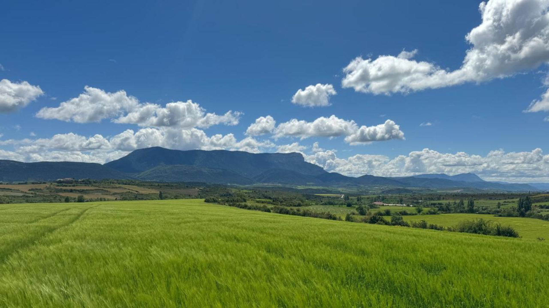 Las esperadas lluvias marcan la semana de San Isidro en la Jacetania y ...