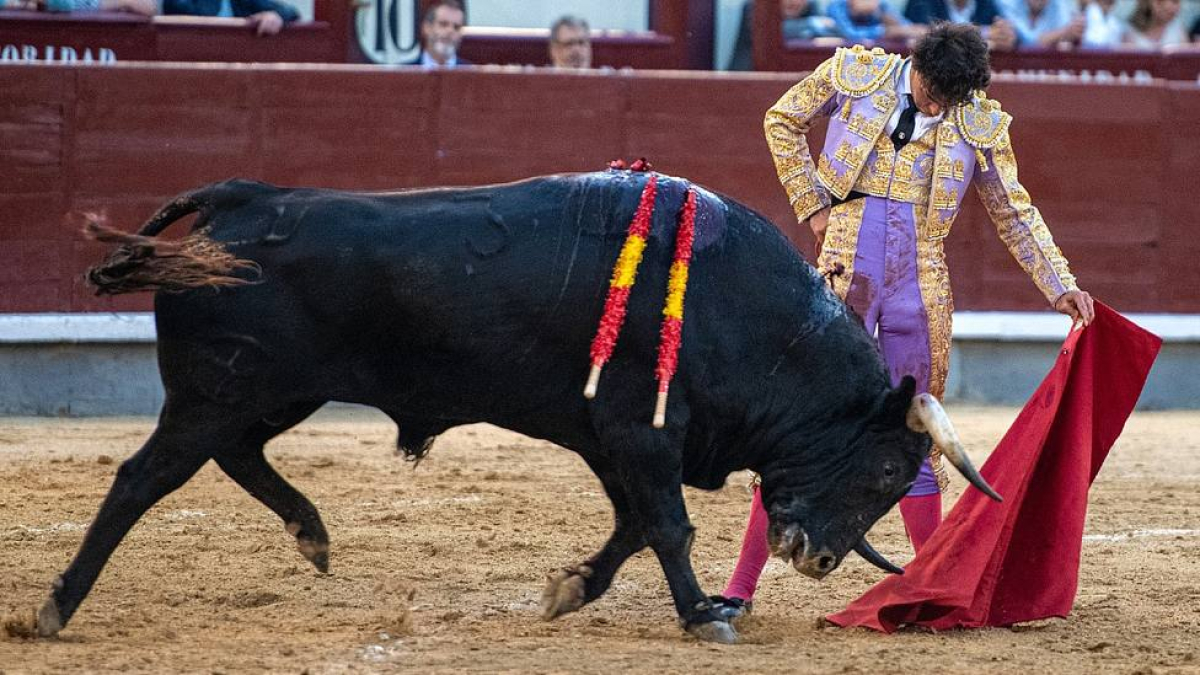 Alejandro Chicharro y un mes de mayo para aspirar al liderazgo novilleril