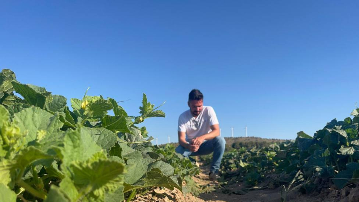 El Secreto de mi Tierra prevé un crecimiento de un 20% en la producción ...