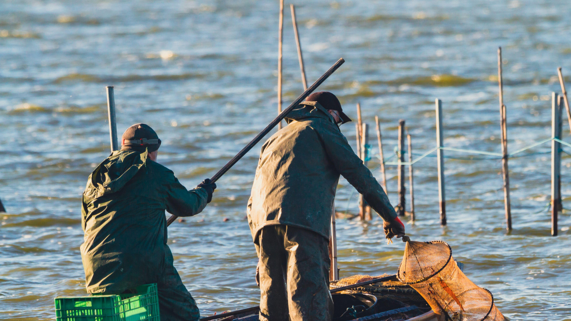 Un pescador valenciano va a faenar y no puede creer lo que le pasa en ...