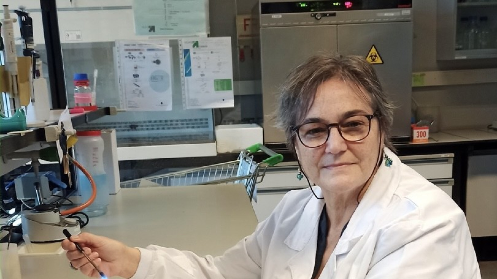 Julia Carballo, científica e investigadora ourensana: "lo que más que ...