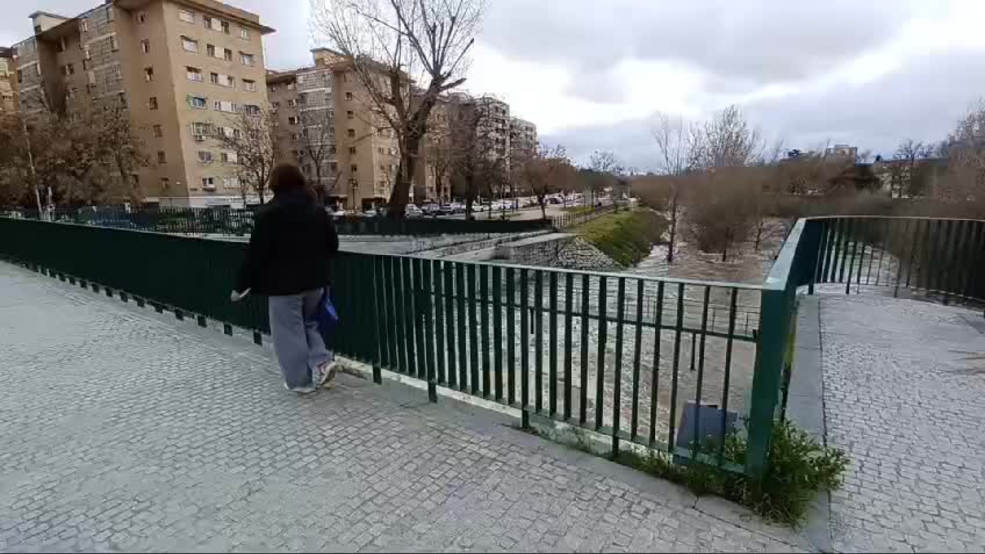 Las 370 zonas inundables de Madrid por el peligro de la crecida de los ...