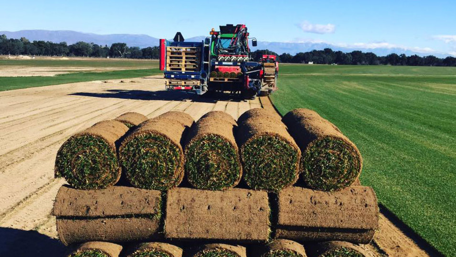 El césped extremeño que viste campos de élite