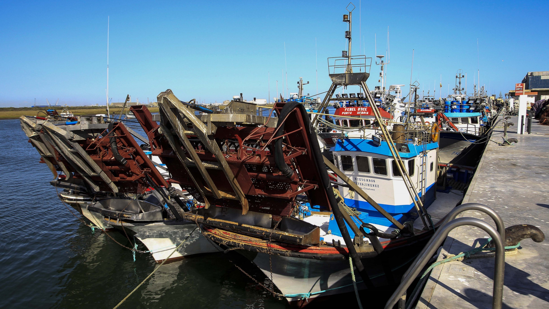 "Quiero ser redera": la historia de Tamara, heredera de un oficio en ...