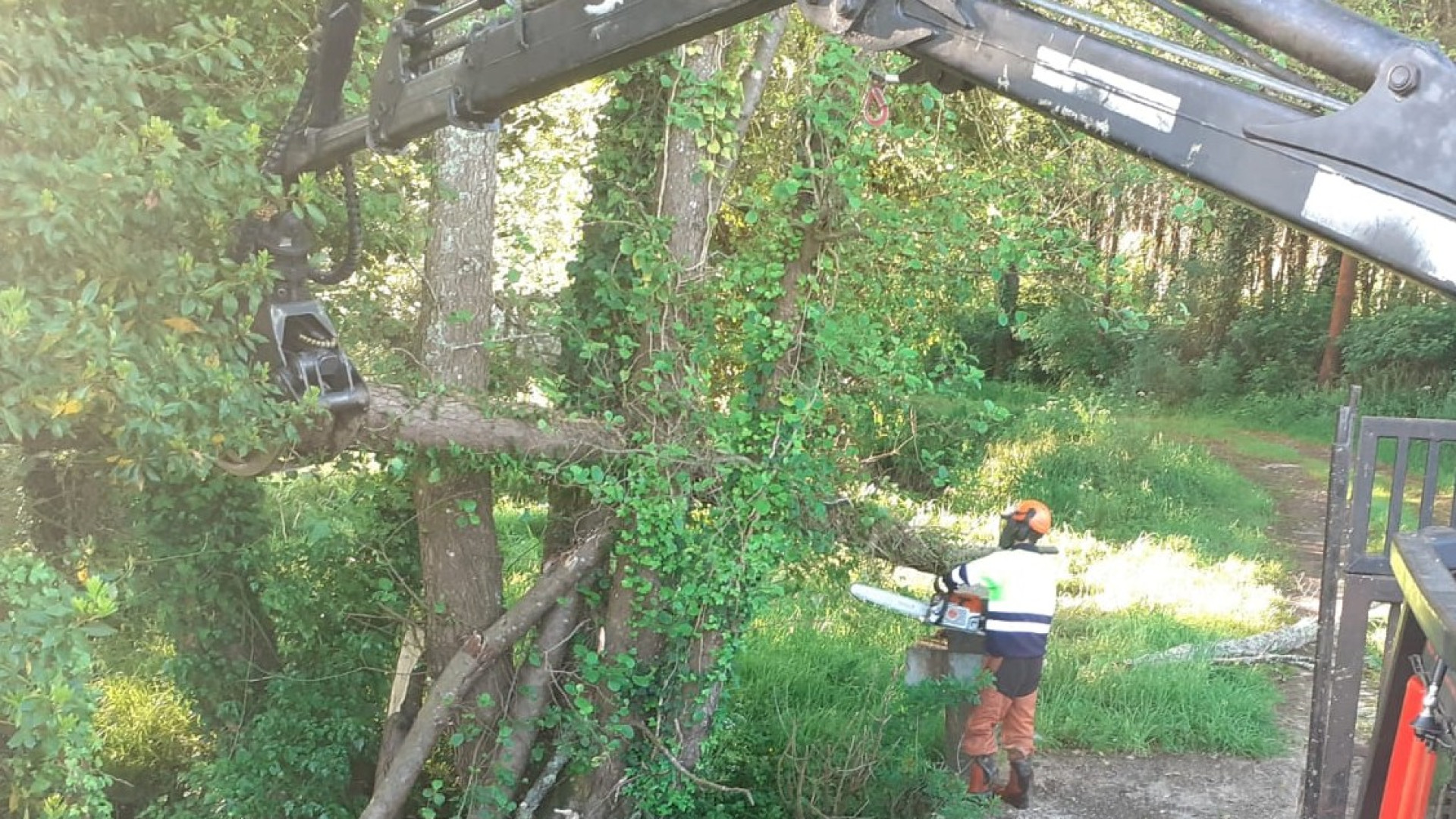 La Xunta realiza labores de conservación en un tramo de casi 3,5 ...