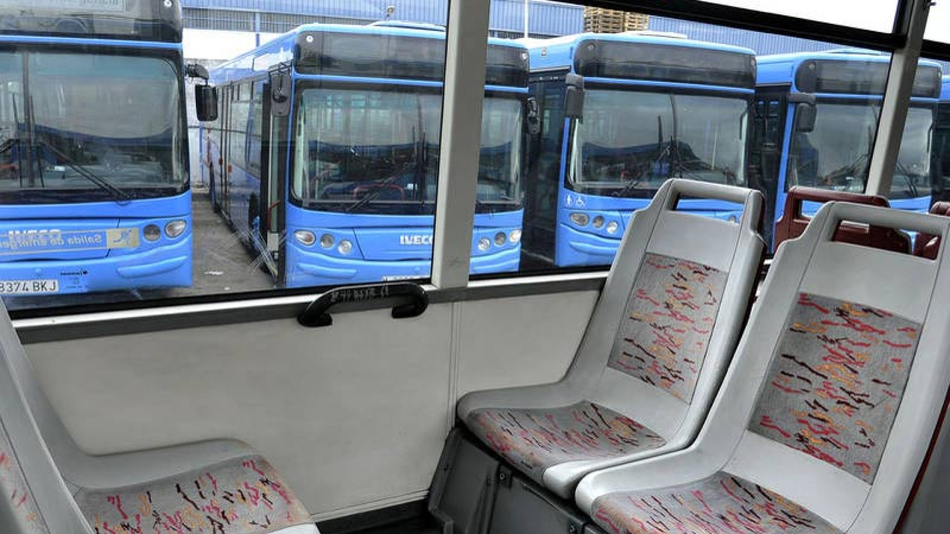 El bus urbano se pone de Feria en Jerez: estas son las líneas que ...