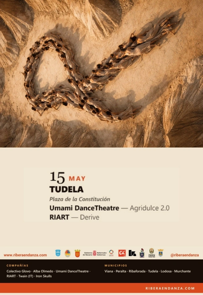 Tudela se llena de danza y humor este fin de semana con el festival ...