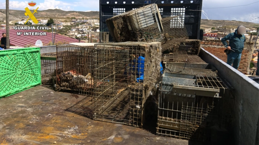 Este es el lamentable estado en el que tenía a sus animales en la ...